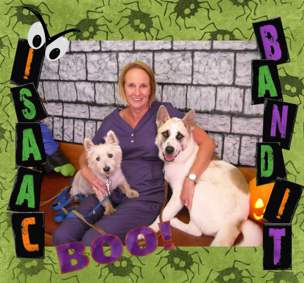 Photo Gallery - Willow Brook Animal Hospital